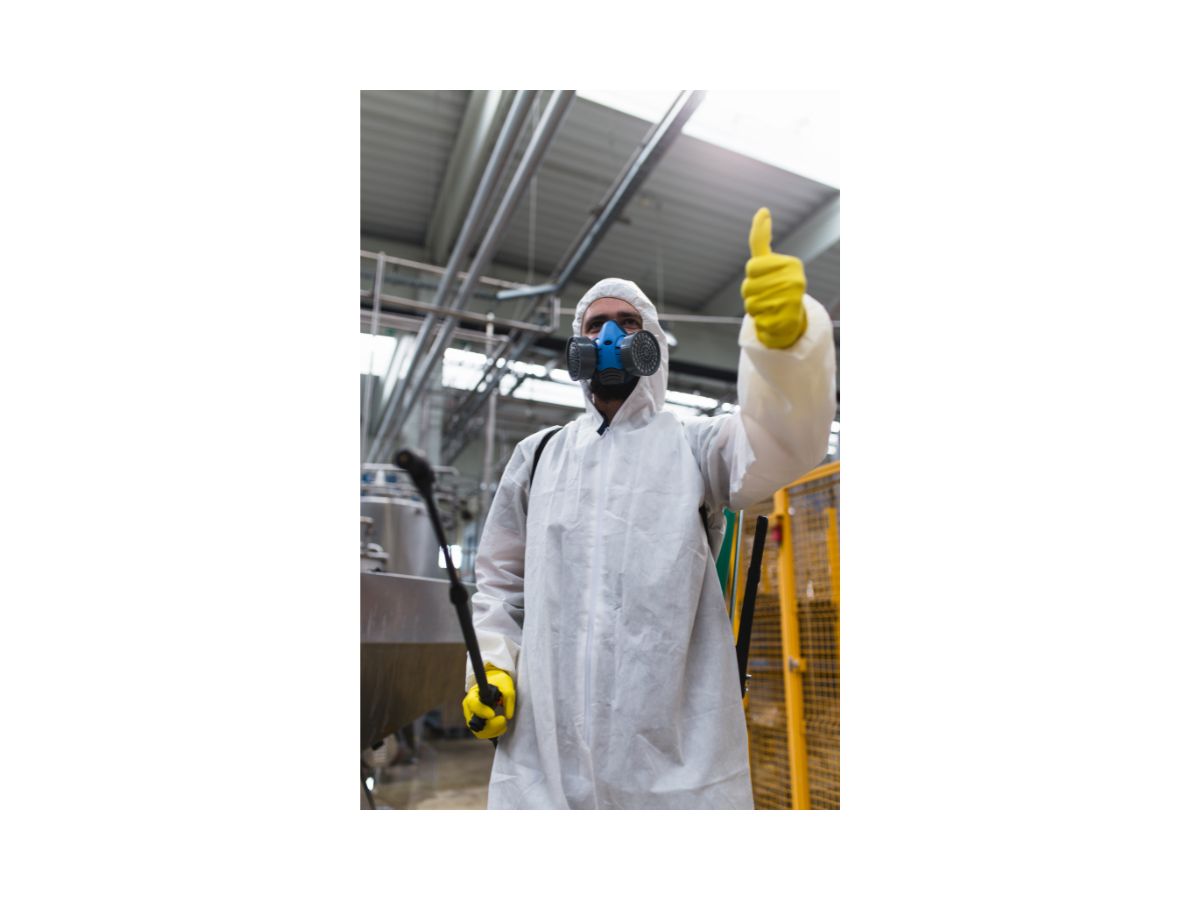 Eradicate Pest Control | Professional Pest Removal Services in Auckland