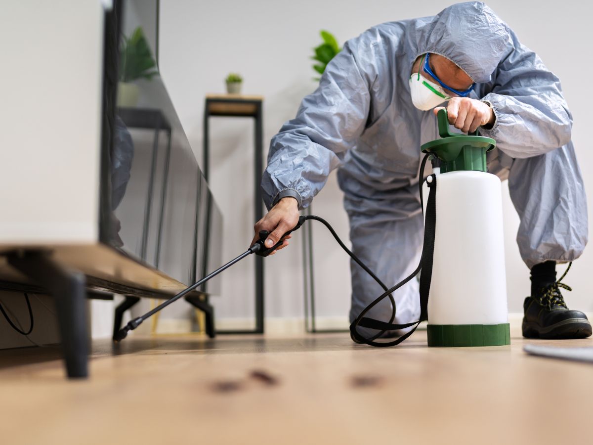 Eradicate Pest Control | Professional Pest Removal Services in Auckland